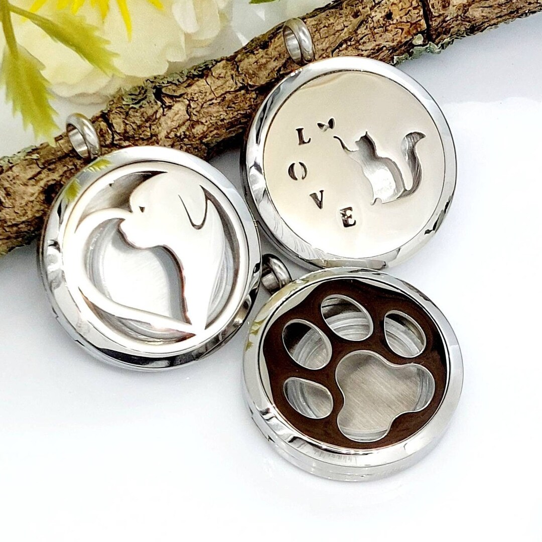 Pet Memorial Jewelry Cat Urn, Dog Urn Locket for Cremains, Hair, Fur ...