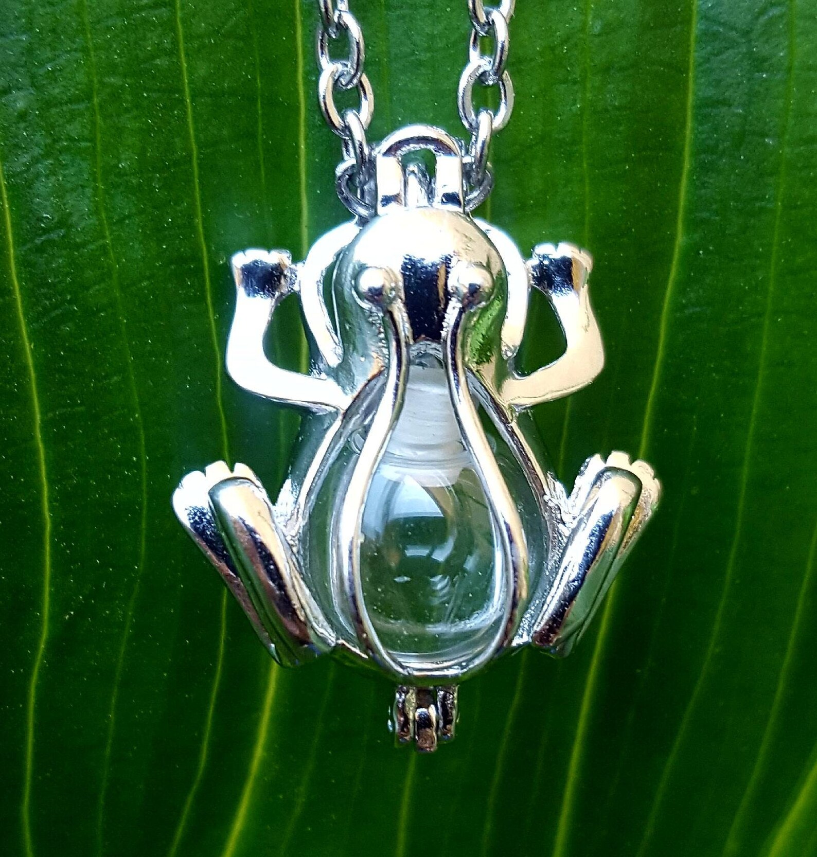925 Silver Frog Locket Frog Urn Locket Frog Urn Necklace | Etsy