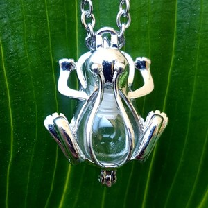 925 Silver Frog Locket Frog Urn Locket Frog Urn Necklace | Etsy