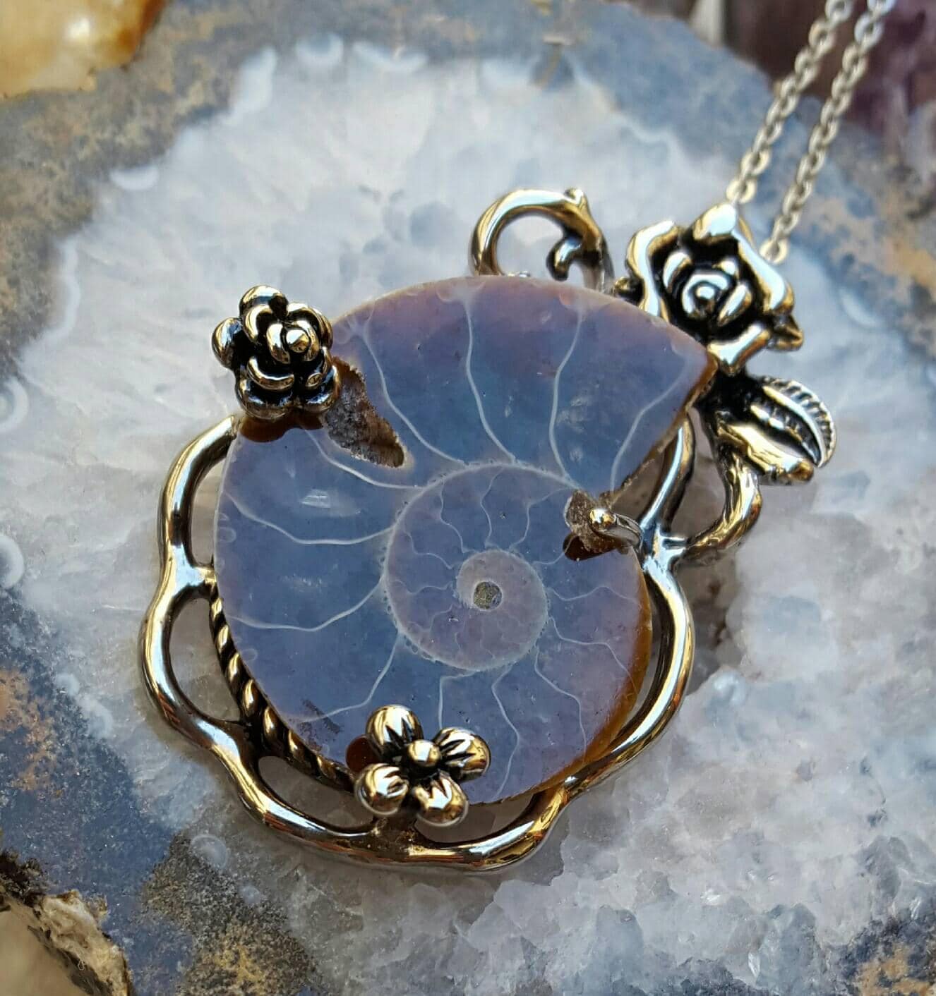 Stainless Steel & Ammonite Pendant | Ammomite Necklace | Ammonite ...