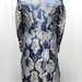 MONTE CRISTO TAILCOAT - Ice Blue Brocade - Etsy