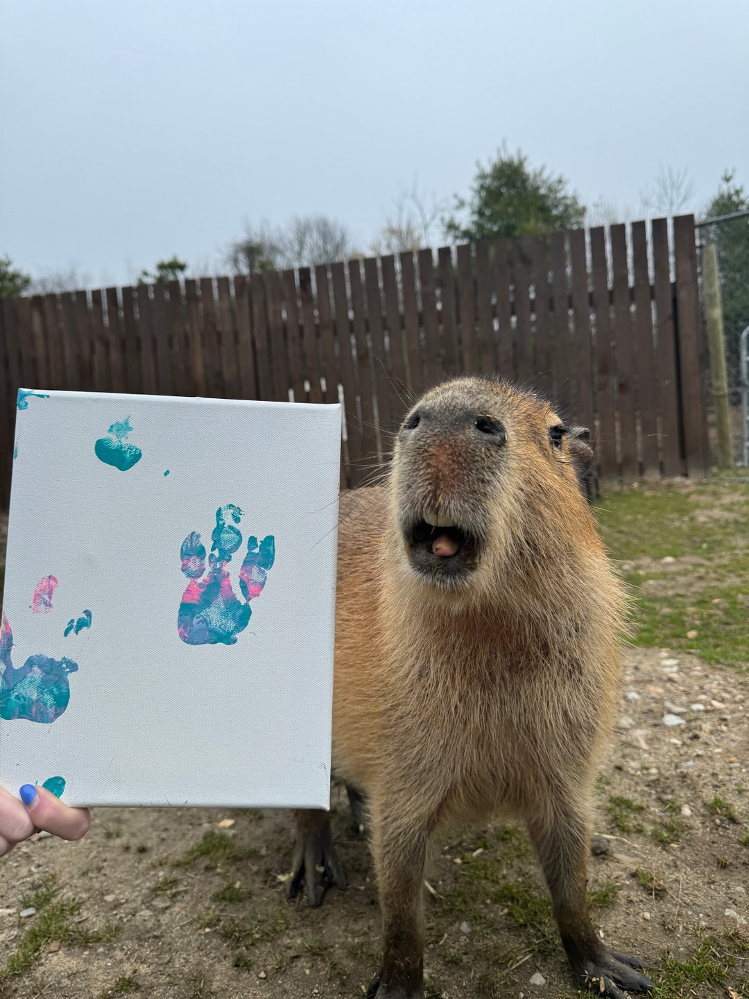 Harold and Barbara Capybara Paintings - Etsy
