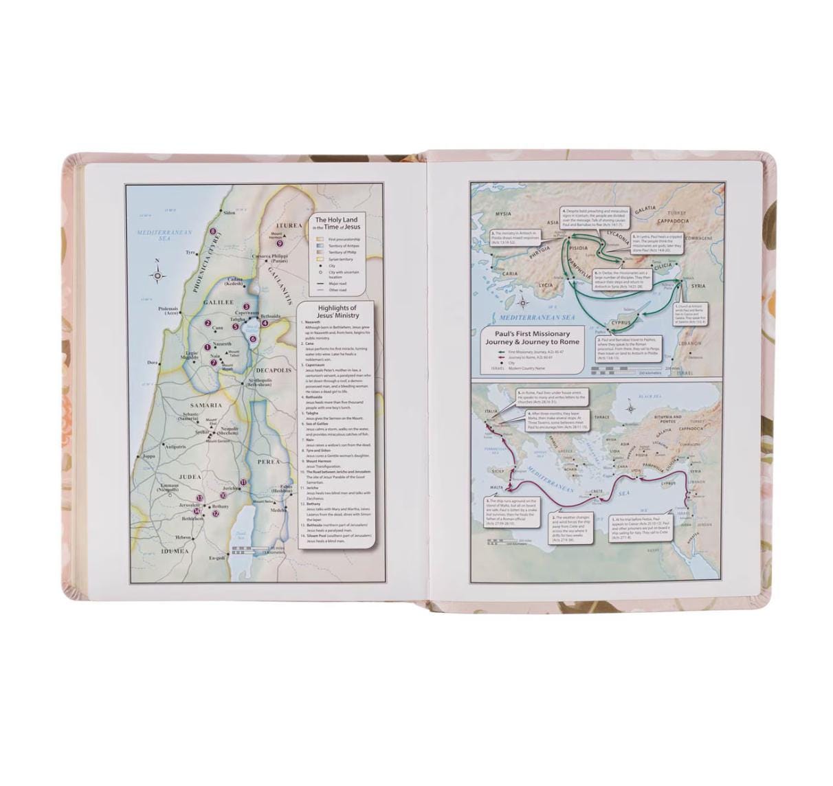 KJV Note-taking Bible Margo Theme Faux Leather | Proverbs 31, Rose Gold ...
