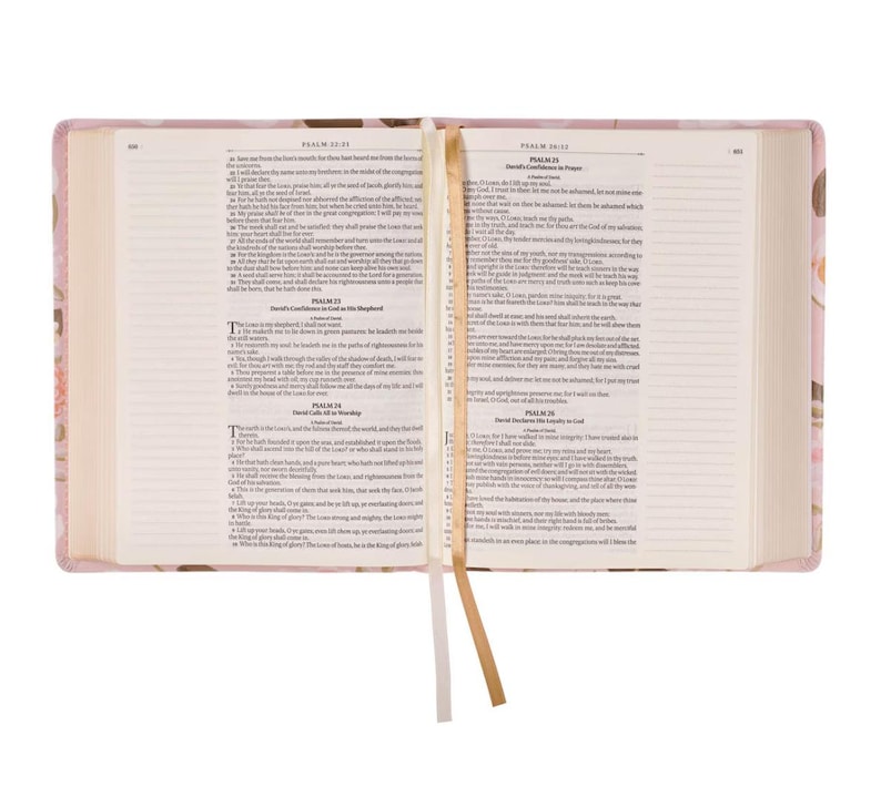 KJV Note-taking Bible Margo Theme Faux Leather | Proverbs 31, Rose Gold ...