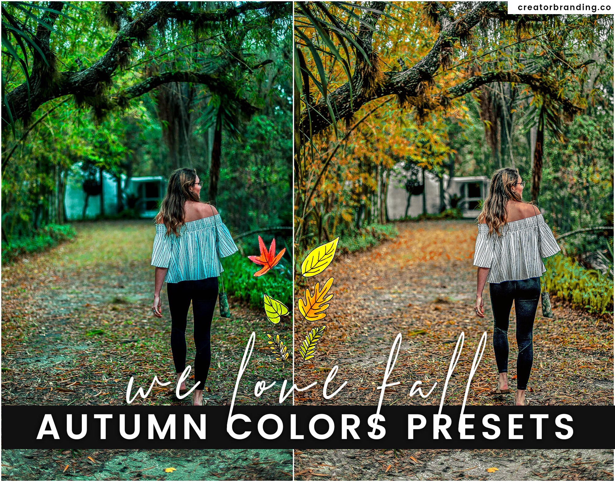 Lightroom Presets: 10 Fall Foliage Presets Transform Your - Etsy