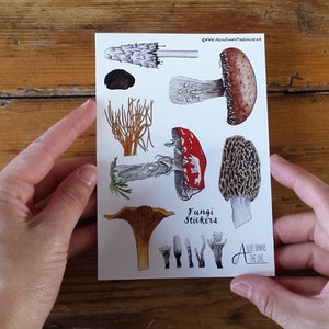 Fungi / Mushroom Sticker Sheets by Alice Draws the Line Great - Etsy UK