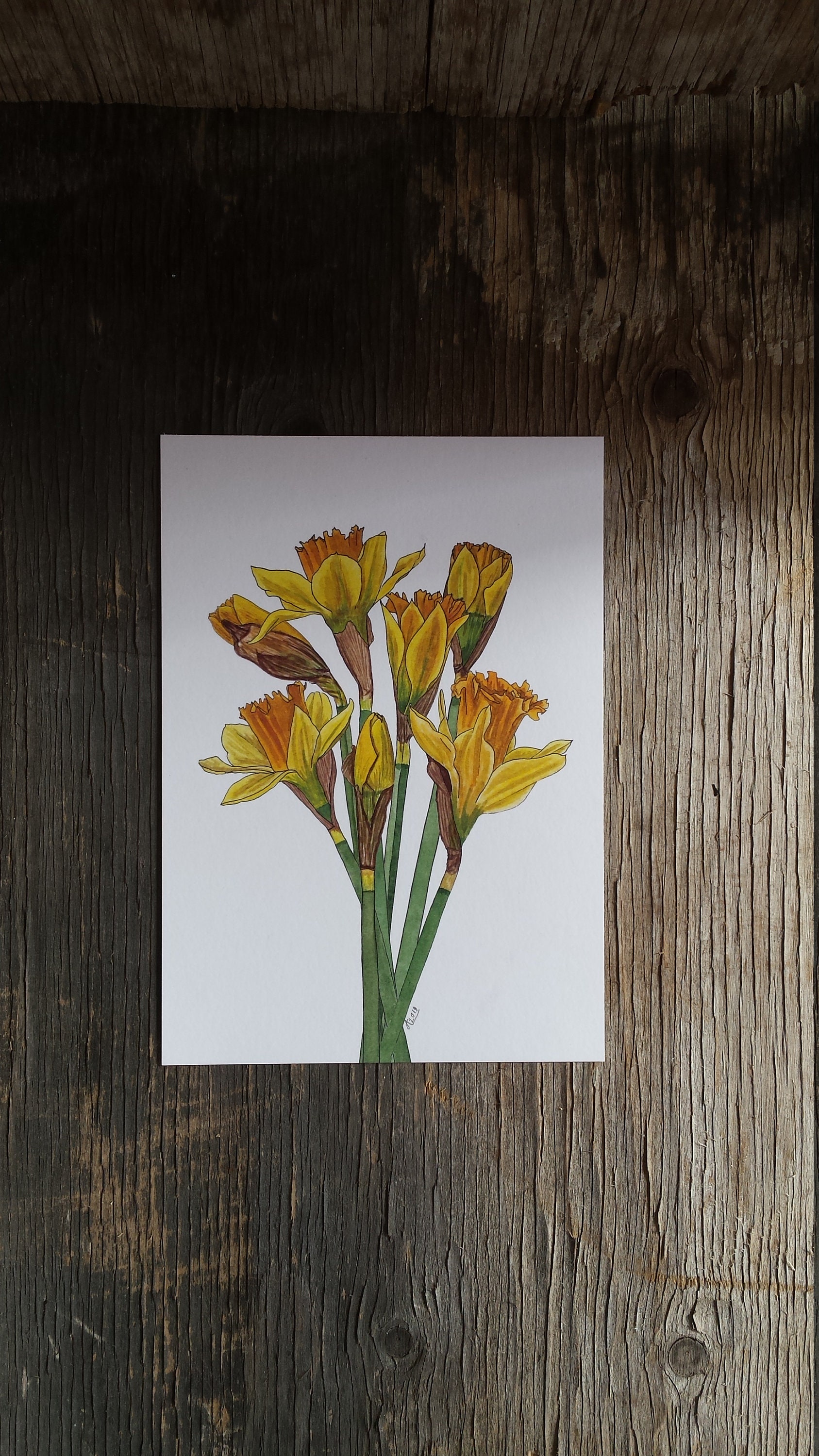 Daffodil Art Prints Featuring a Bouquet of Daffodils - Etsy
