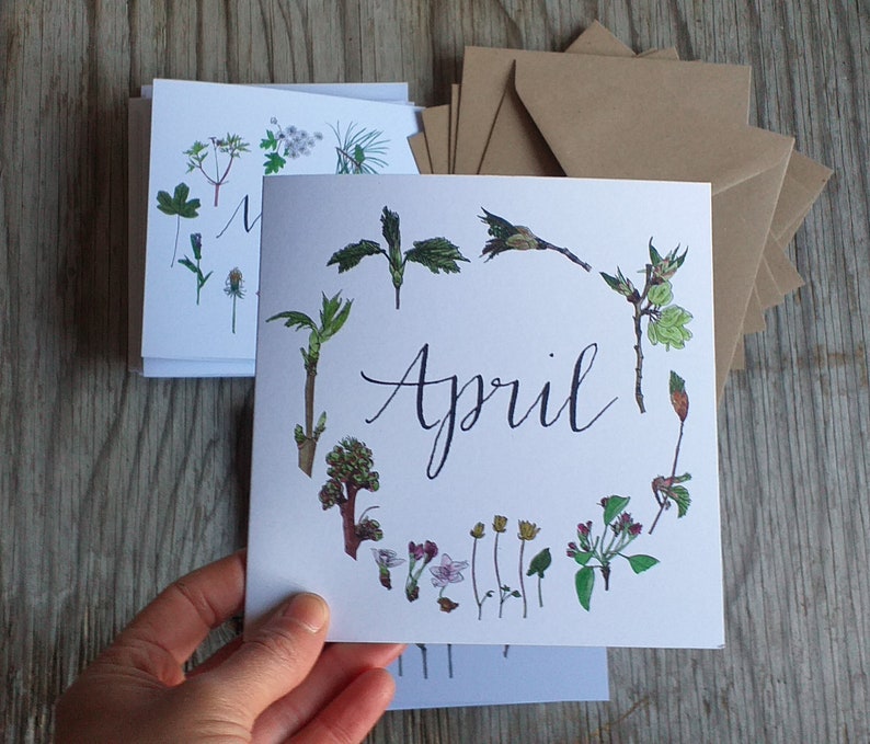 Calendar cards by Alice Draws The Line. A set of 12 botanical | Etsy
