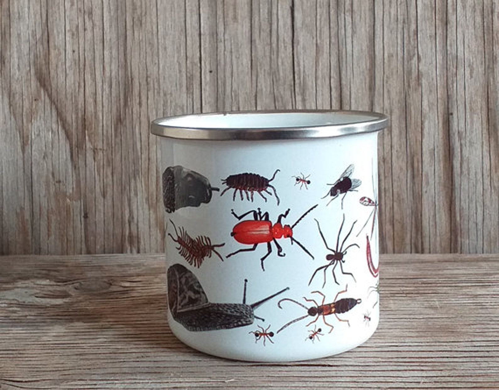 Enamel Bug Mug Illustrations of Bugs Insects and Mini Bests - Etsy