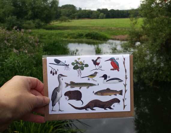 The River Greeting Card by Alice Draws the Line Featuring a | Etsy