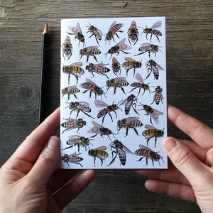 Honey Bee Recycled Notebook by Alice Draws the Line. Illustrations of ...
