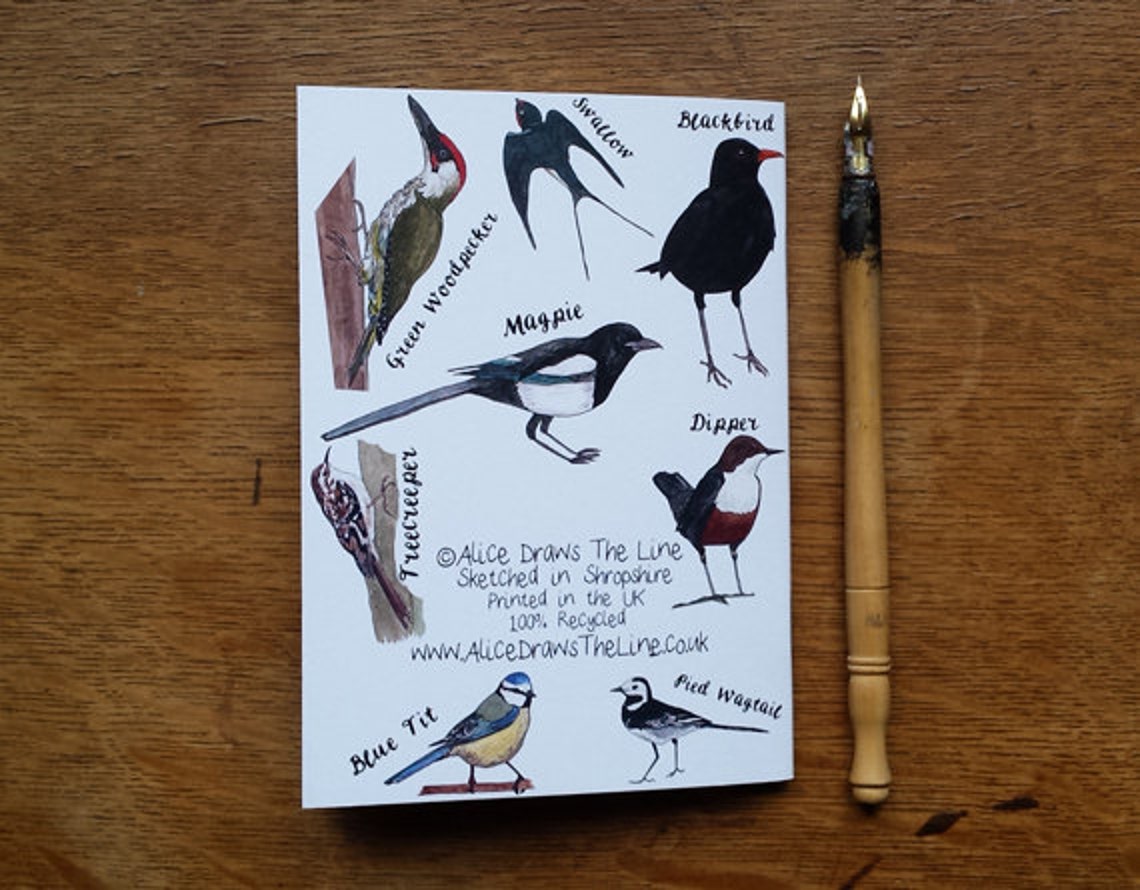 A6 Bird Notebook With Printed Pen and Ink Illustrations by - Etsy