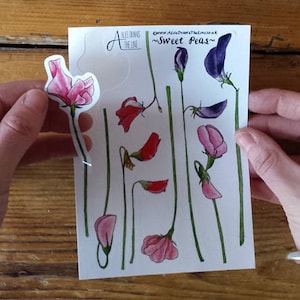 Sweet Pea Sticker Sheets by Alice Draws the Line; Great for Children's ...