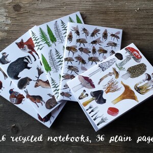 A6 Tree Notebook With Printed Pen and Ink Modern Botanical ...