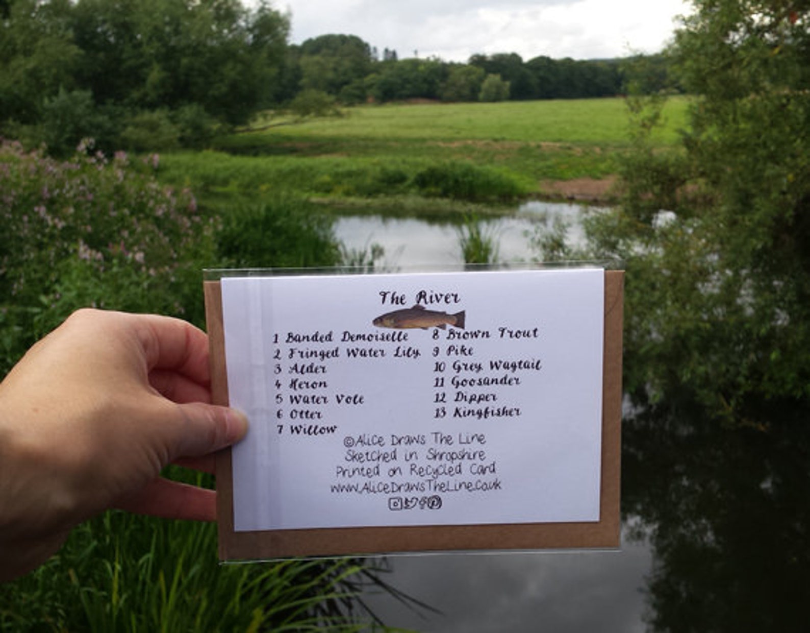 The River Greeting Card by Alice Draws the Line Featuring a | Etsy