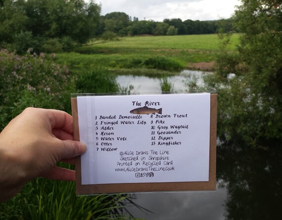 The River Greeting Card by Alice Draws the Line Featuring a | Etsy