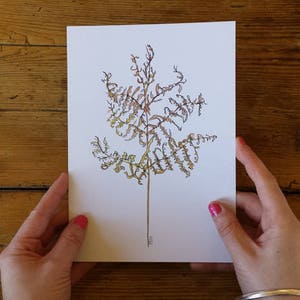 3 Bracken Art Prints Featuring a Green, Yellow and Brown Bracken Study ...