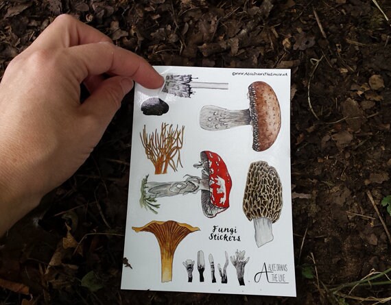 Fungi / Mushroom sticker sheets by Alice Draws The Line great | Etsy