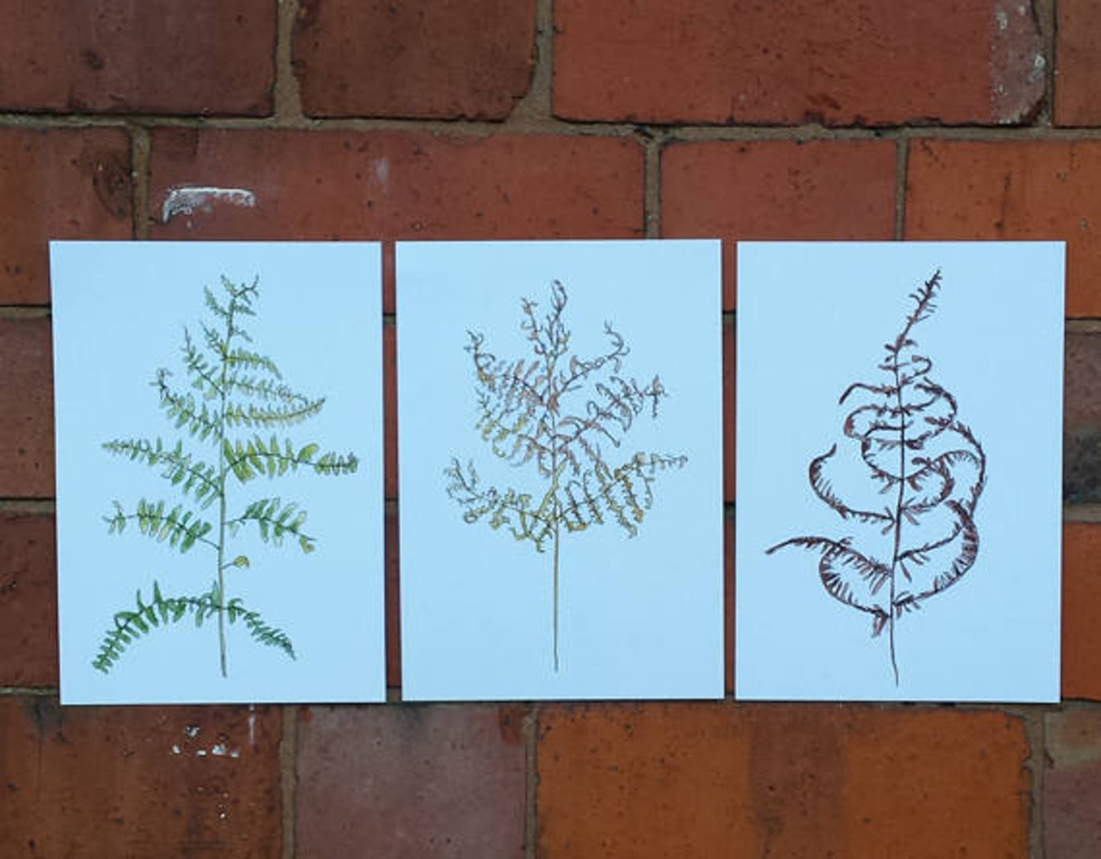 3 Bracken Art Prints Featuring a Green Yellow and Brown | Etsy