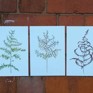 3 Bracken Art Prints Featuring a Green, Yellow and Brown Bracken Study ...