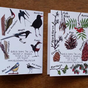 Nature Notebook 2 Pack With Printed Pen and Ink Illustrations by Alice ...