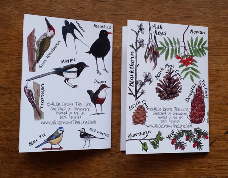 Nature Notebook 2 Pack With Printed Pen and Ink Illustrations - Etsy