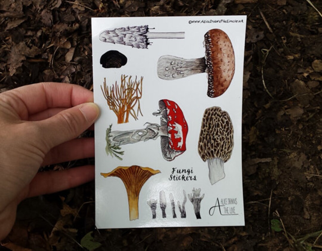 Fungi / Mushroom Sticker Sheets by Alice Draws the Line Great - Etsy UK