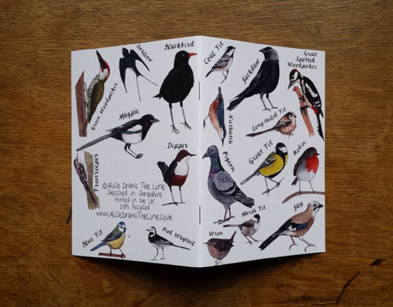 A6 Bird Notebook With Printed Pen and Ink Illustrations by - Etsy