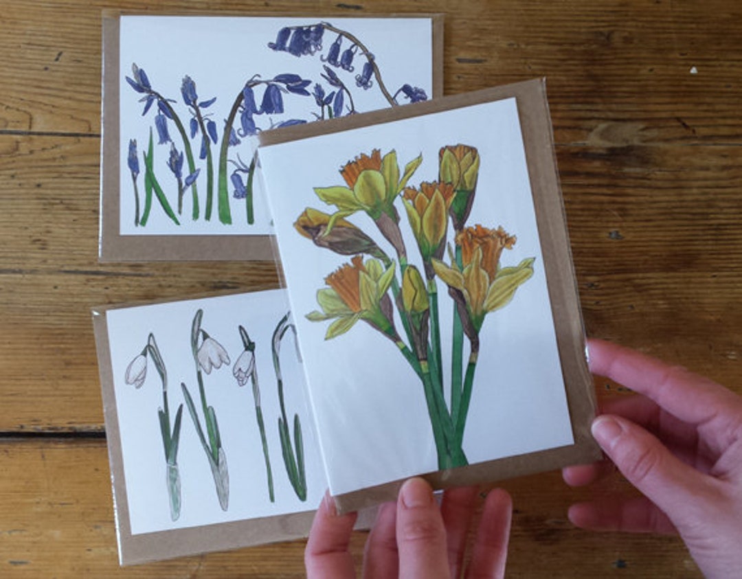 Spring Card Set of 3 Flower Greeting Cards by Alice Draws the Line ...
