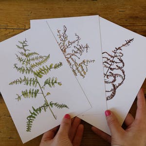 3 Bracken Art Prints Featuring a Green, Yellow and Brown Bracken Study ...