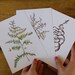 3 Bracken Art Prints Featuring a Green, Yellow and Brown Bracken Study ...