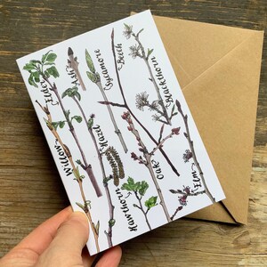 Tree Identification Card by Alice Draws the Line Featuring a Range of ...