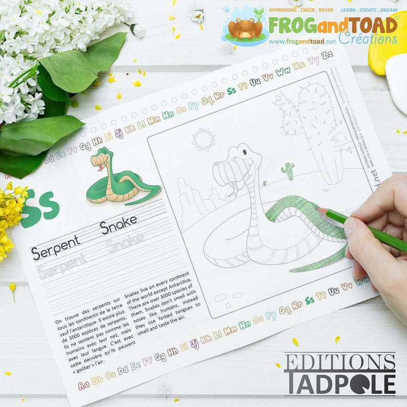 ALPHABET COLOURING Book Printable Bilingual A Z ABC French English ...