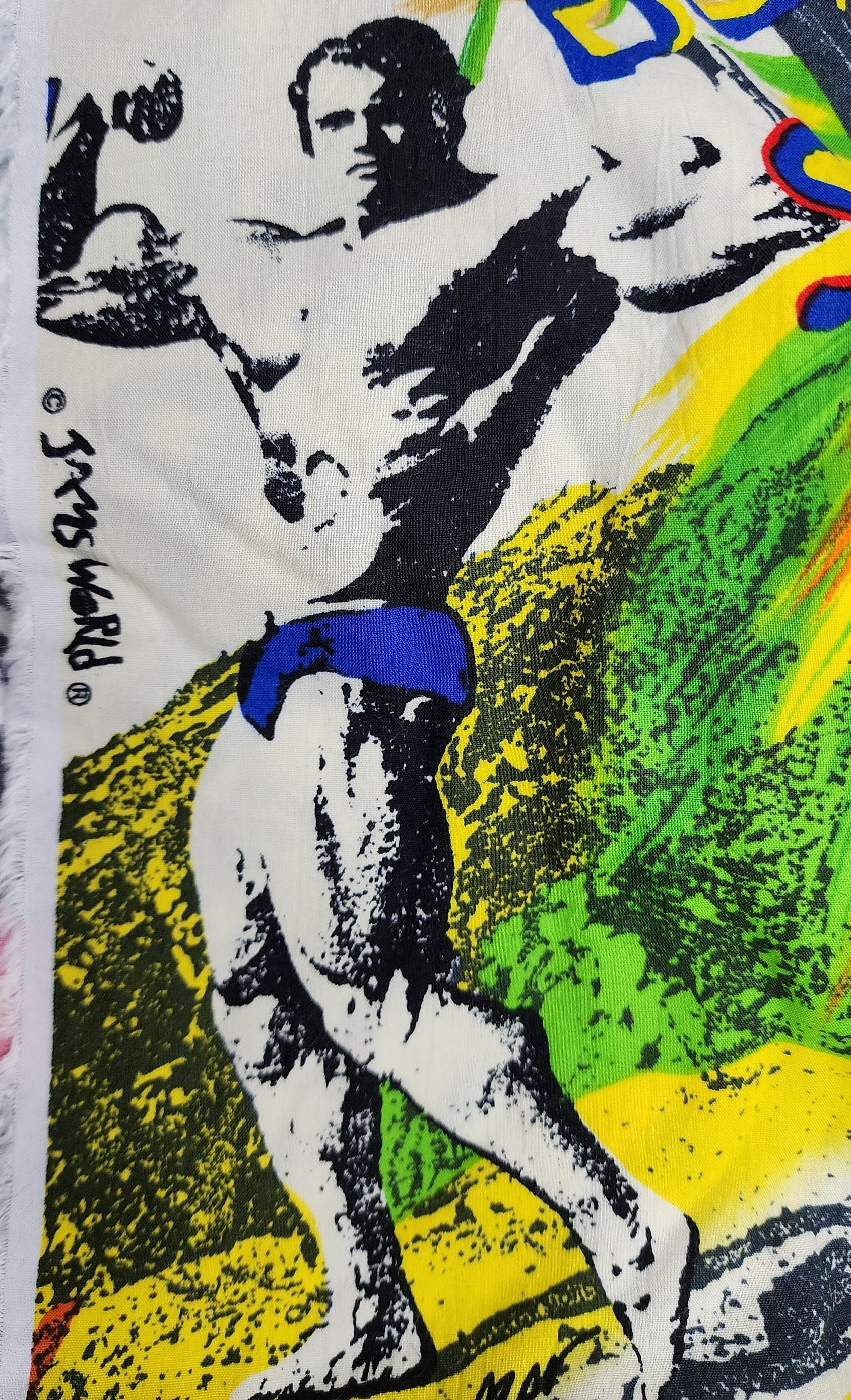 RARE Jam's World Arnold Schwarzenegger World Gym Body Building Vintage ...