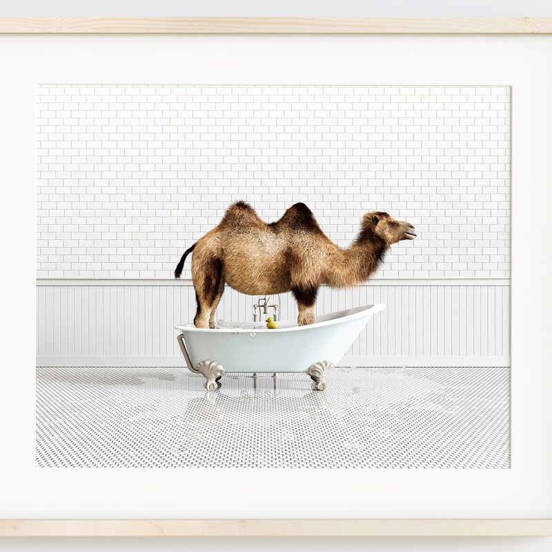 Camel Prints - Etsy