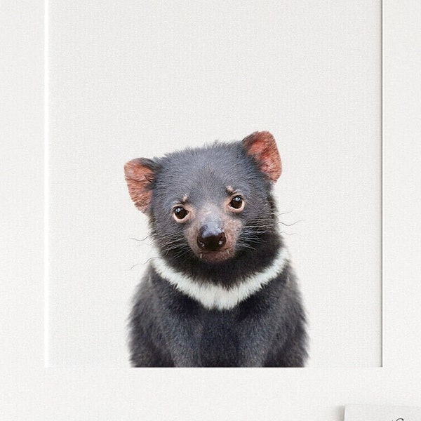 Printable Crown - Etsy