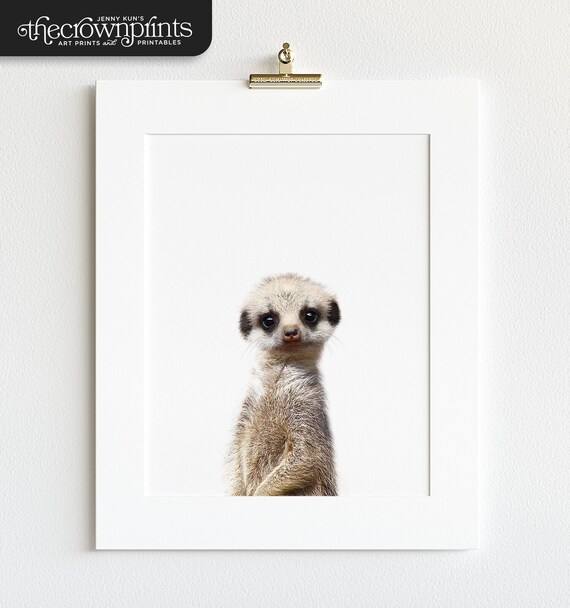 MEERKAT Print Meerkat Printable Nursery Decor Animal Prints Printable ...