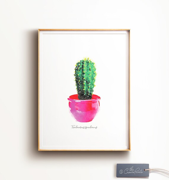 Digital cactus artwork Printable succulent download Cactus print Cacti ...