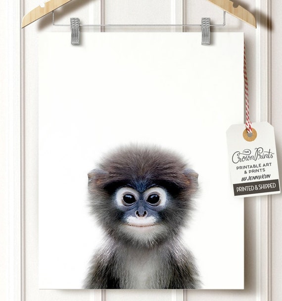 Monkey print The Crown Prints Nursery wall art Safari | Etsy