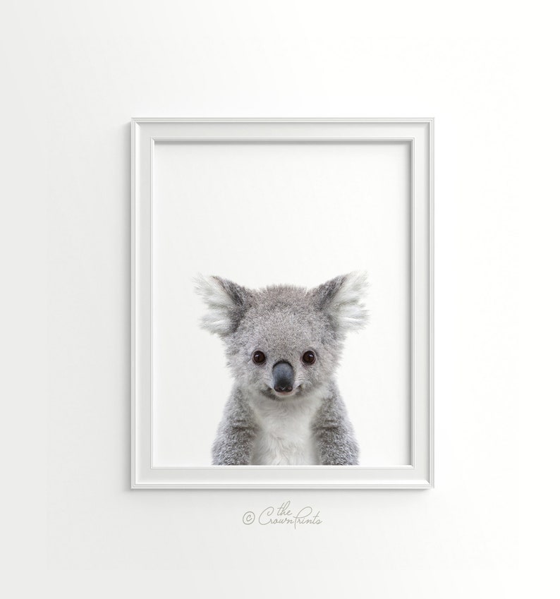 Koala print PRINTABLE art Nursery animals Animal prints | Etsy
