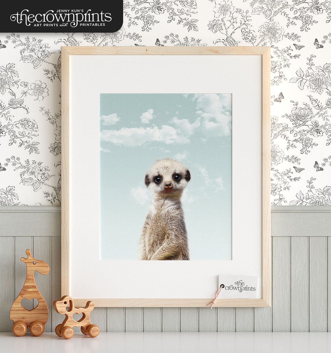 Baby Meerkat Print PRINTABLE Art Safari Animals Wall Art - Etsy