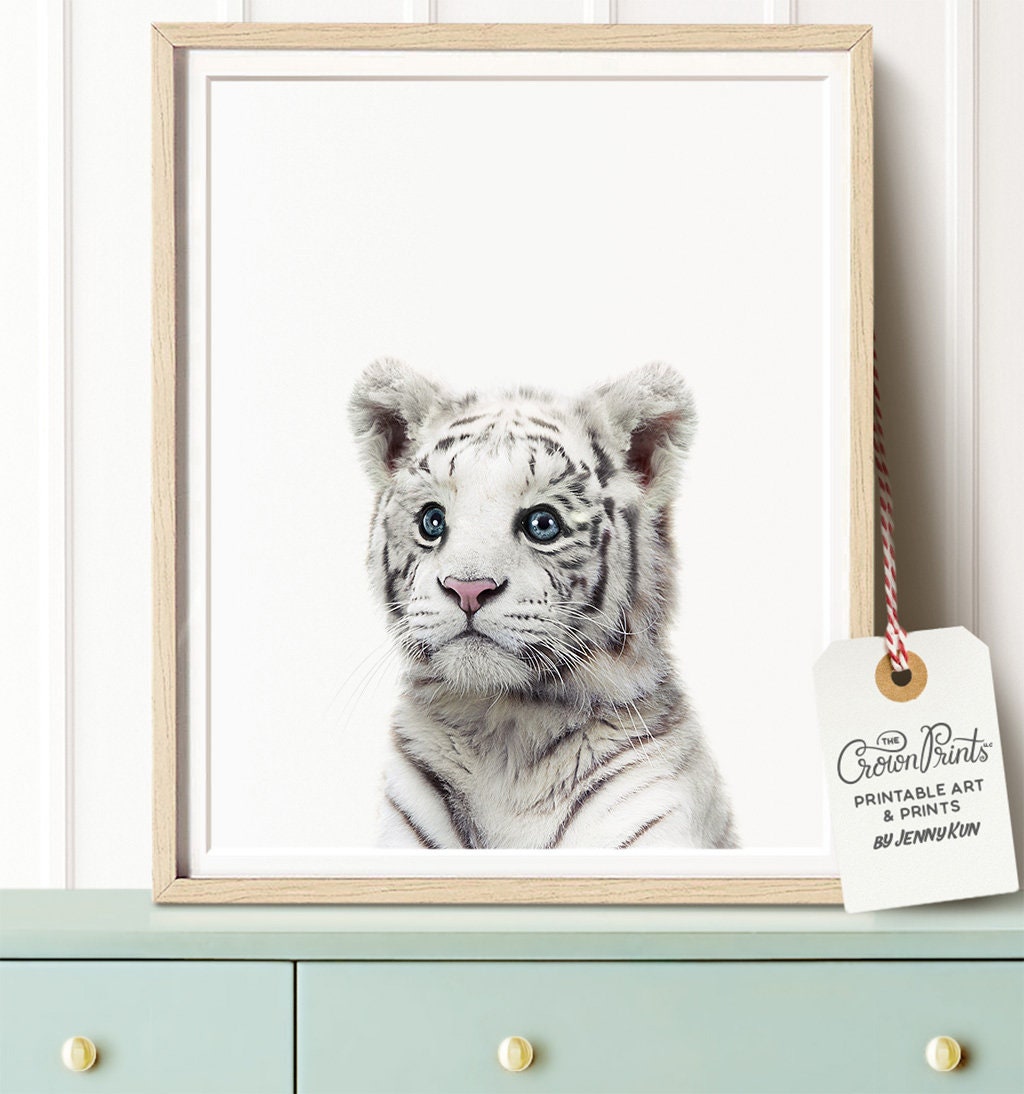 Baby White Tiger Print Animal Art Animal Prints Jungle - Etsy Denmark