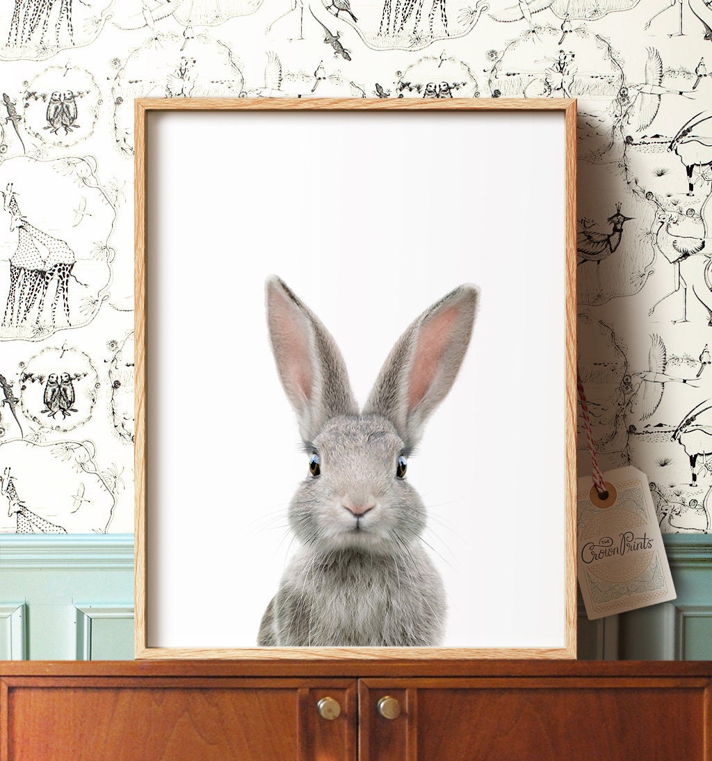 Nursery animals prints PRINTABLE art Woodland animals decor | Etsy