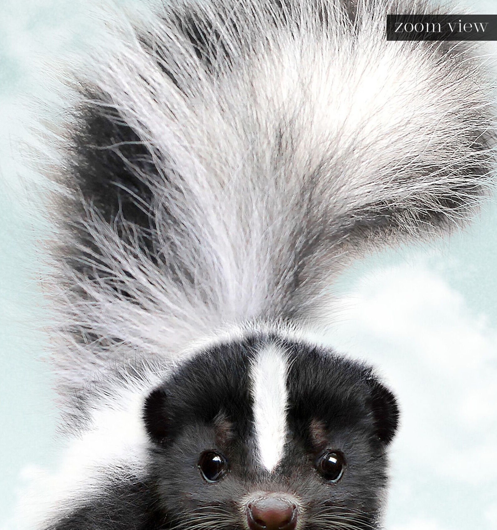 Woodland Animals Nursery Baby Skunk Print PRINTABLE Art | Etsy