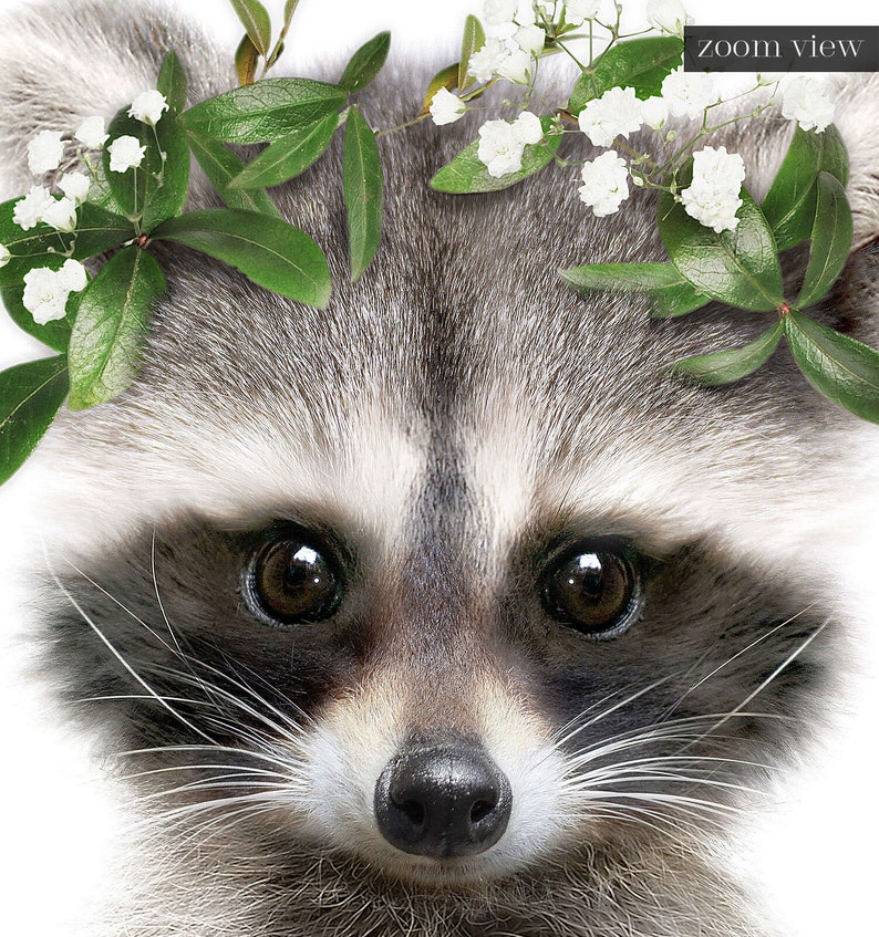 Baby wasbeer print, Flower crown, PRINTABLE decor, Forest dieren ...
