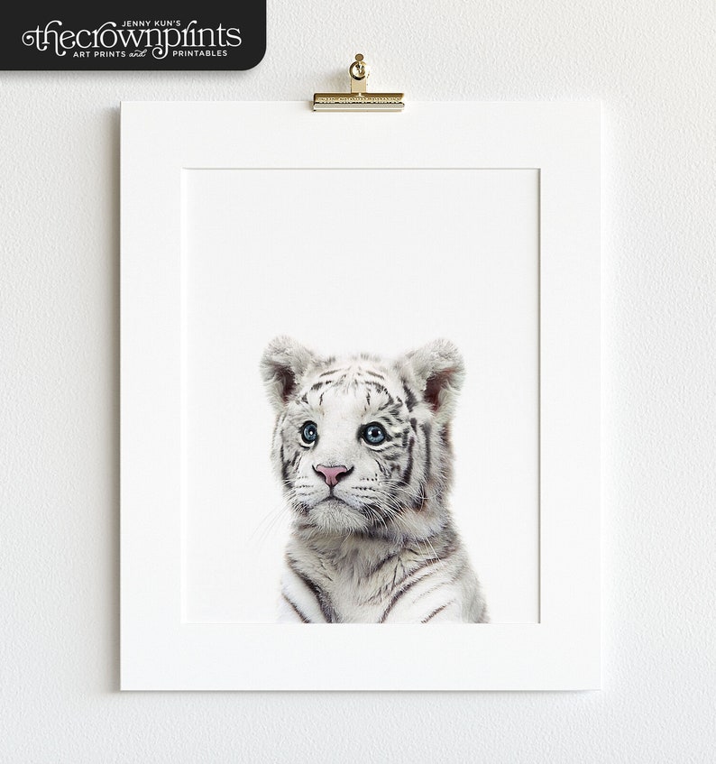 Wild Animal Prints White Tiger PRINTABLE ART Jungle Animals - Etsy