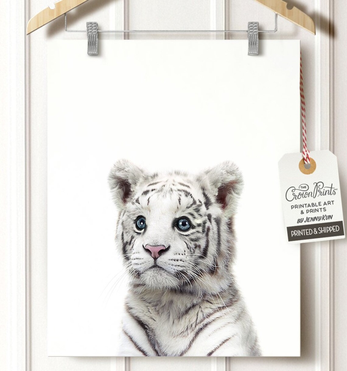Baby White Tiger Print Animal Art Animal Prints Jungle - Etsy Denmark
