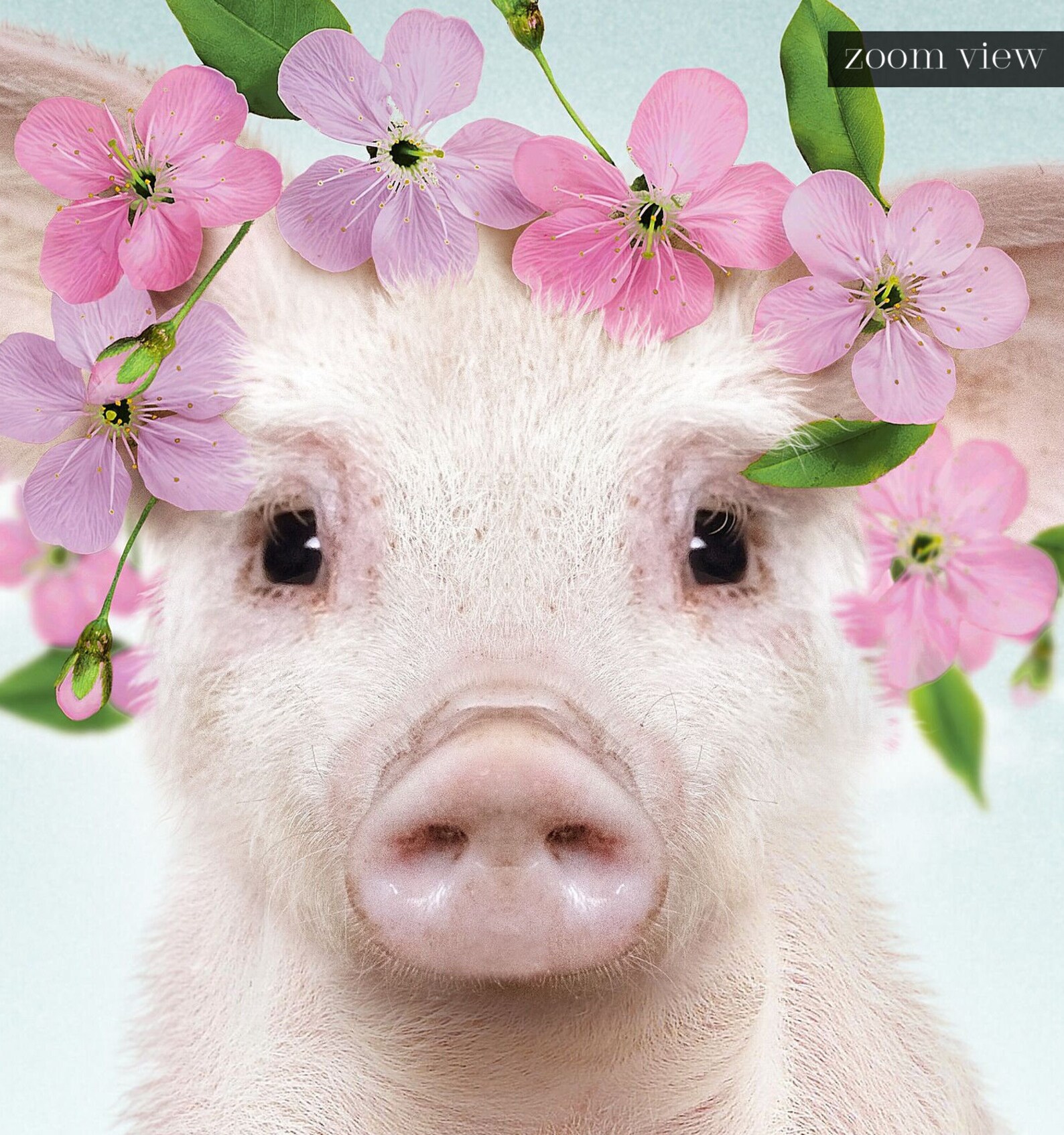 Boho Nursery Decor PRINTABLE ART Pig With Flower Crown - Etsy