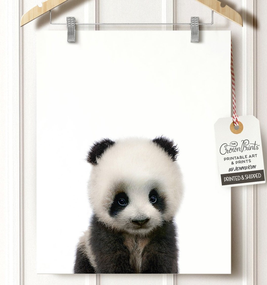Baby Panda Print Wildlife Print Nursery Animal Prints the - Etsy