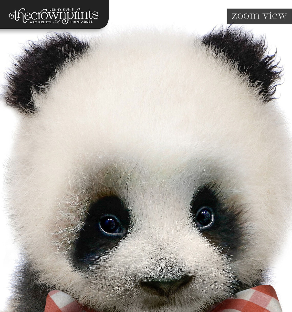 Panda Print Baby Animal Prints With Bowties PRINTABLE Art by - Etsy